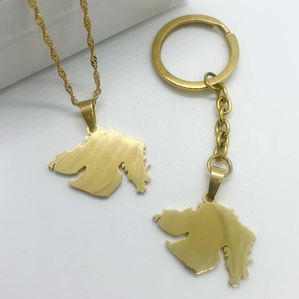 Gujarat Map Necklace Keychain | ArtByZakia